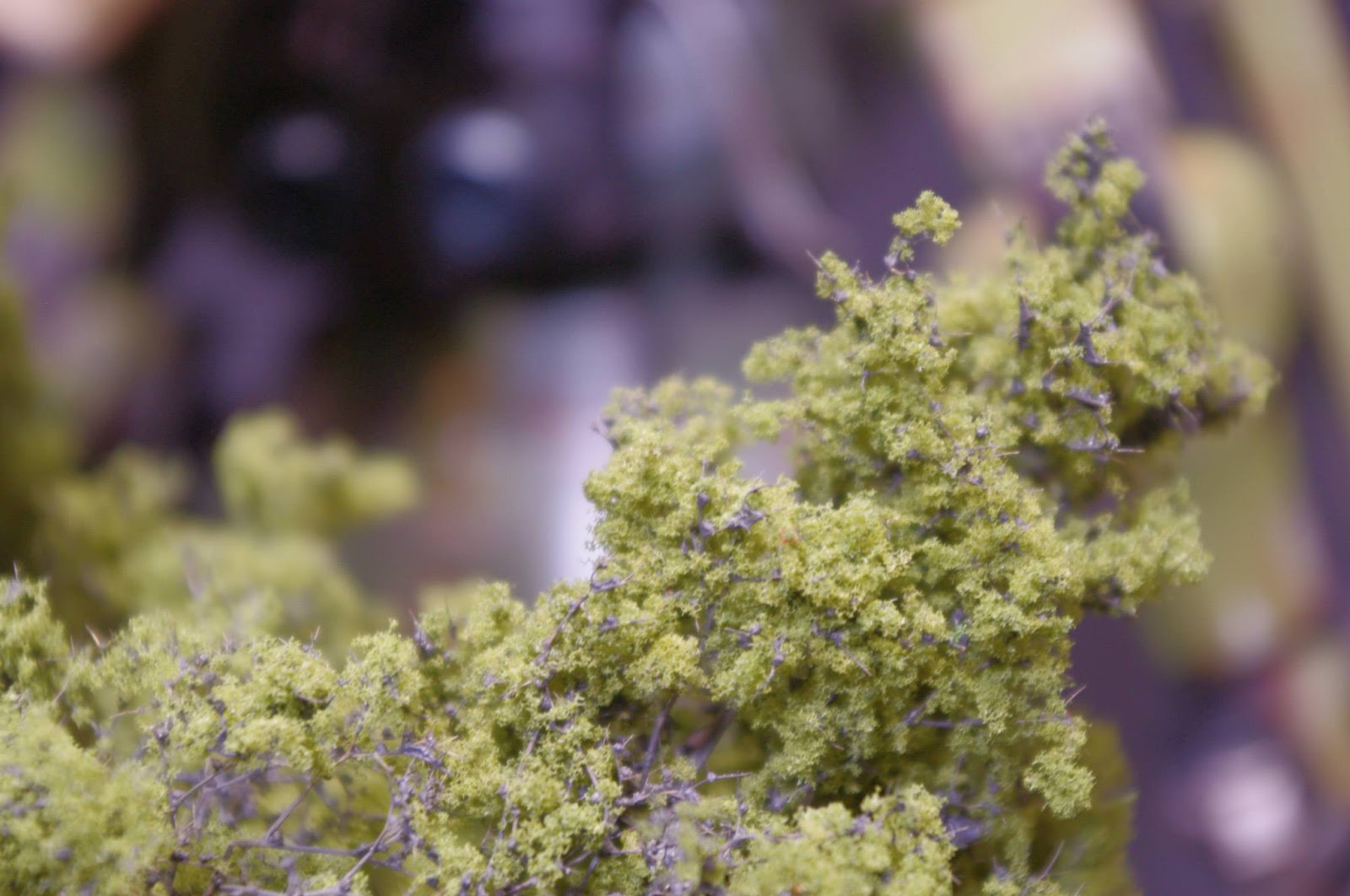 GUNDAM GUY: Forest Recon Diorama Build - GBWC Australia Entry Build