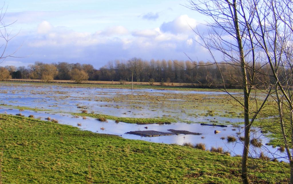 Staffordshire Photo: Waterlogged field