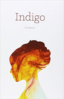 ÍNDIGO - EVA AGUILAR (SAGA ÍNDIGO VOL I) - Noa en el baúl de los sueños