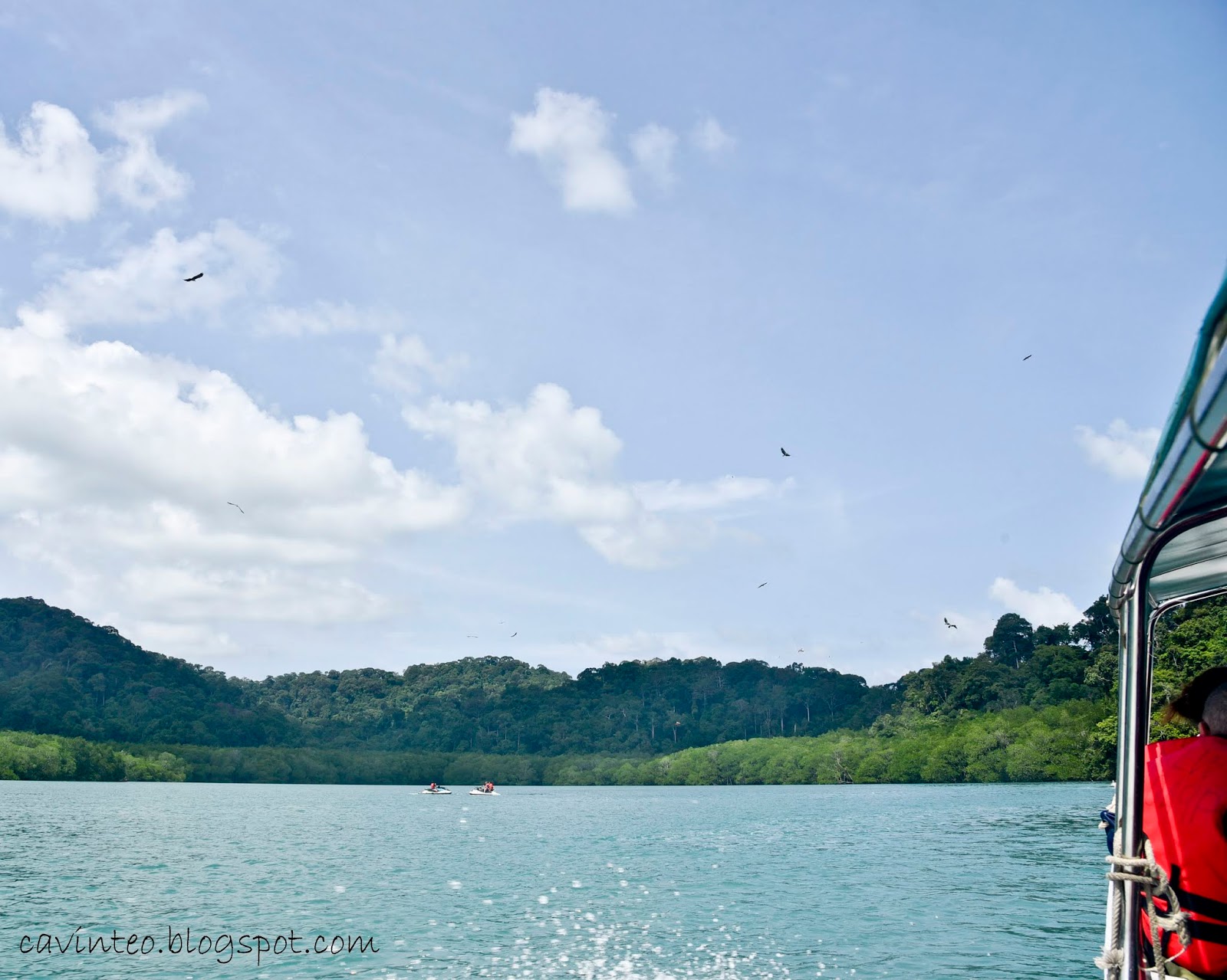 Entree Kibbles: Eagle Feeding at Pulau Singa Besar - Part of the ...