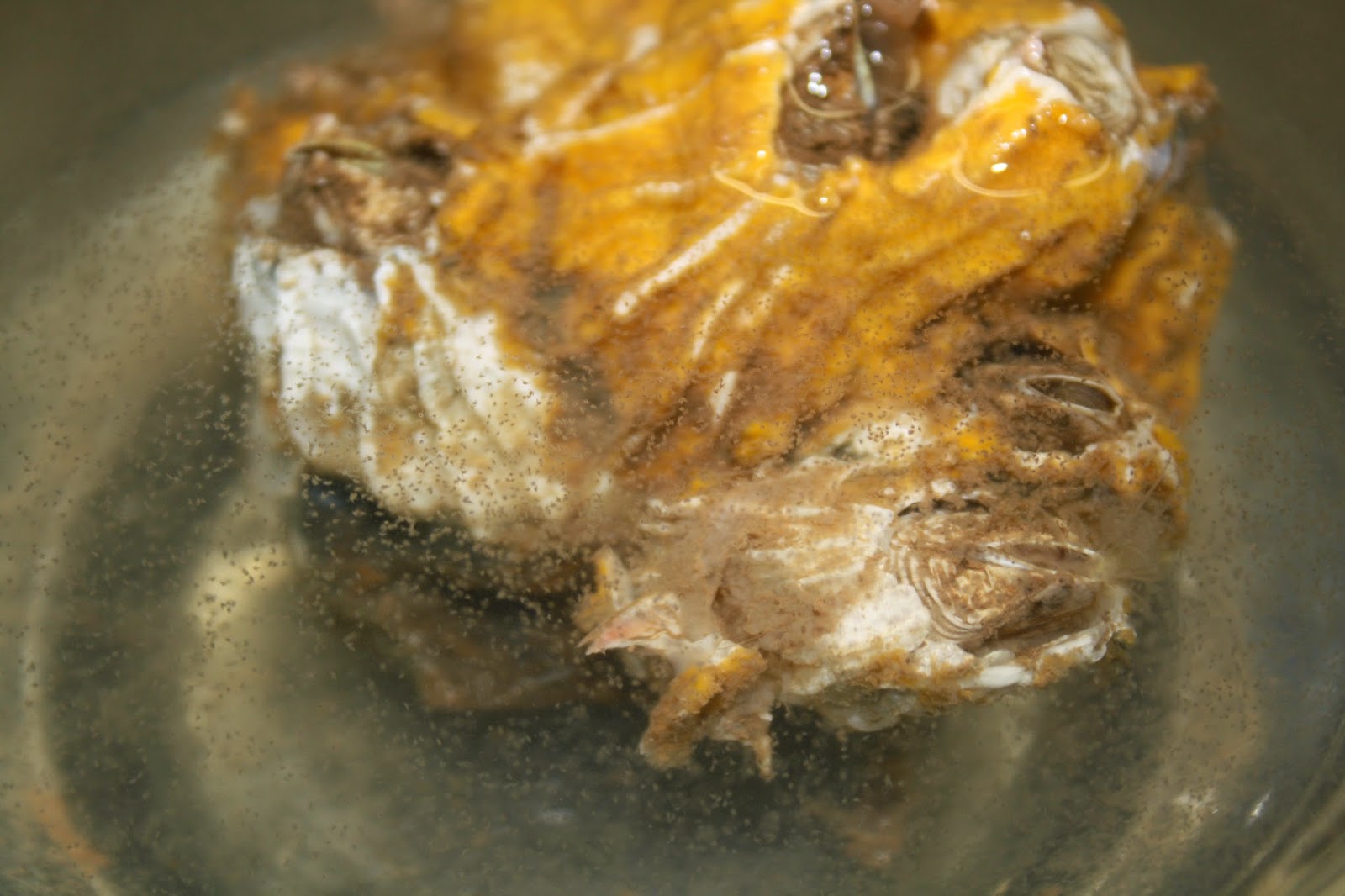 Huntsman Marine Science Centre: Arthropod diversity