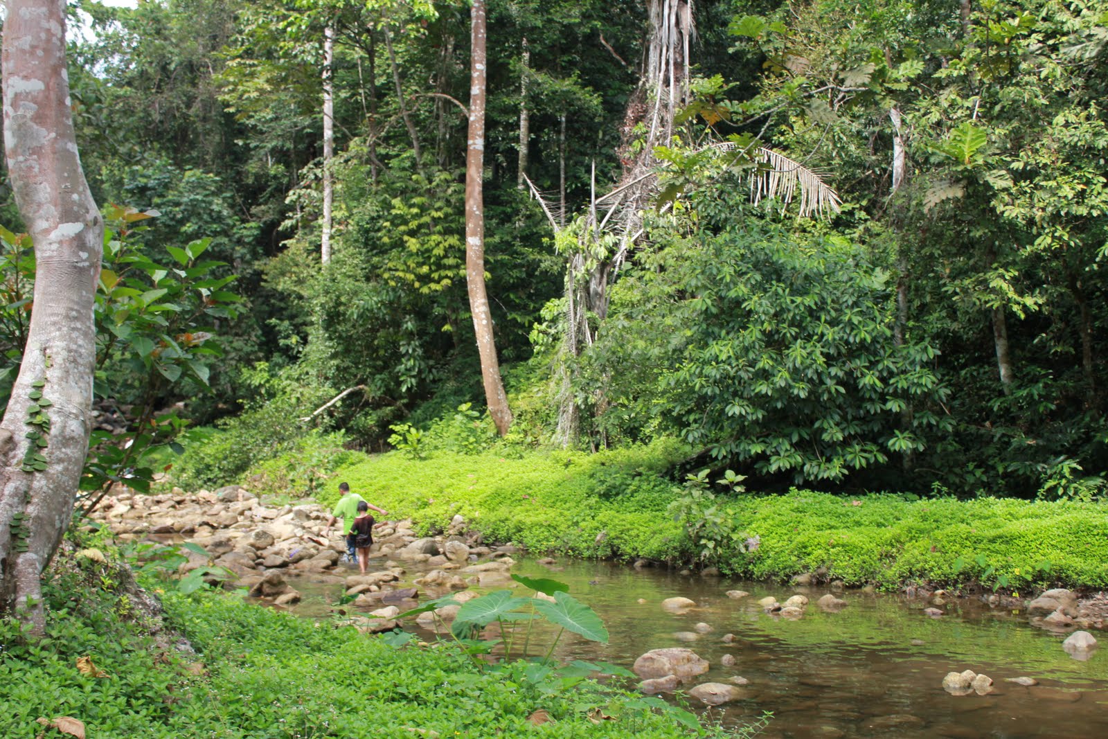 EjamZonne: Air Terjun Tupah, Kedah