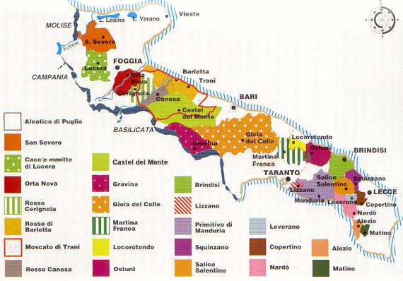 Puglia Brasil: Os Vinhos da Puglia