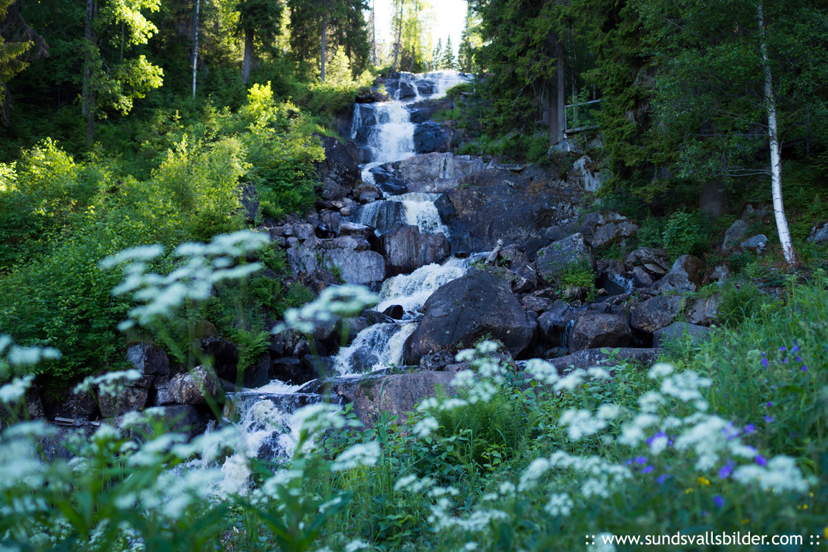 Sundsvallsbilder.com: Västanåfallet i Viksjö