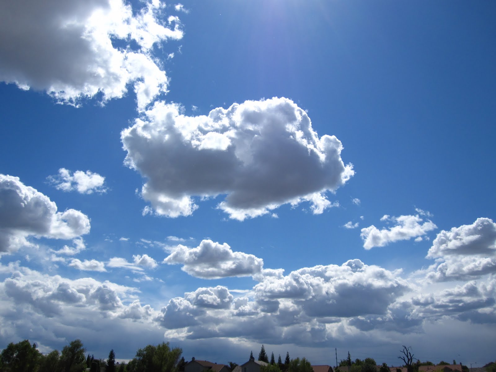 The Rollercoaster Ride: Cloudy Day