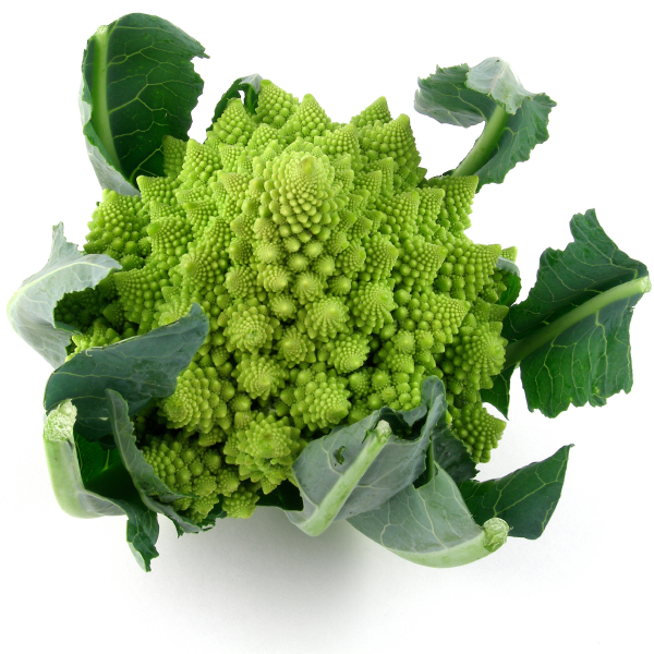 How to Grow a Broccoflower - Kilimo Hai