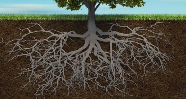 AS THEY WERE: July 2013