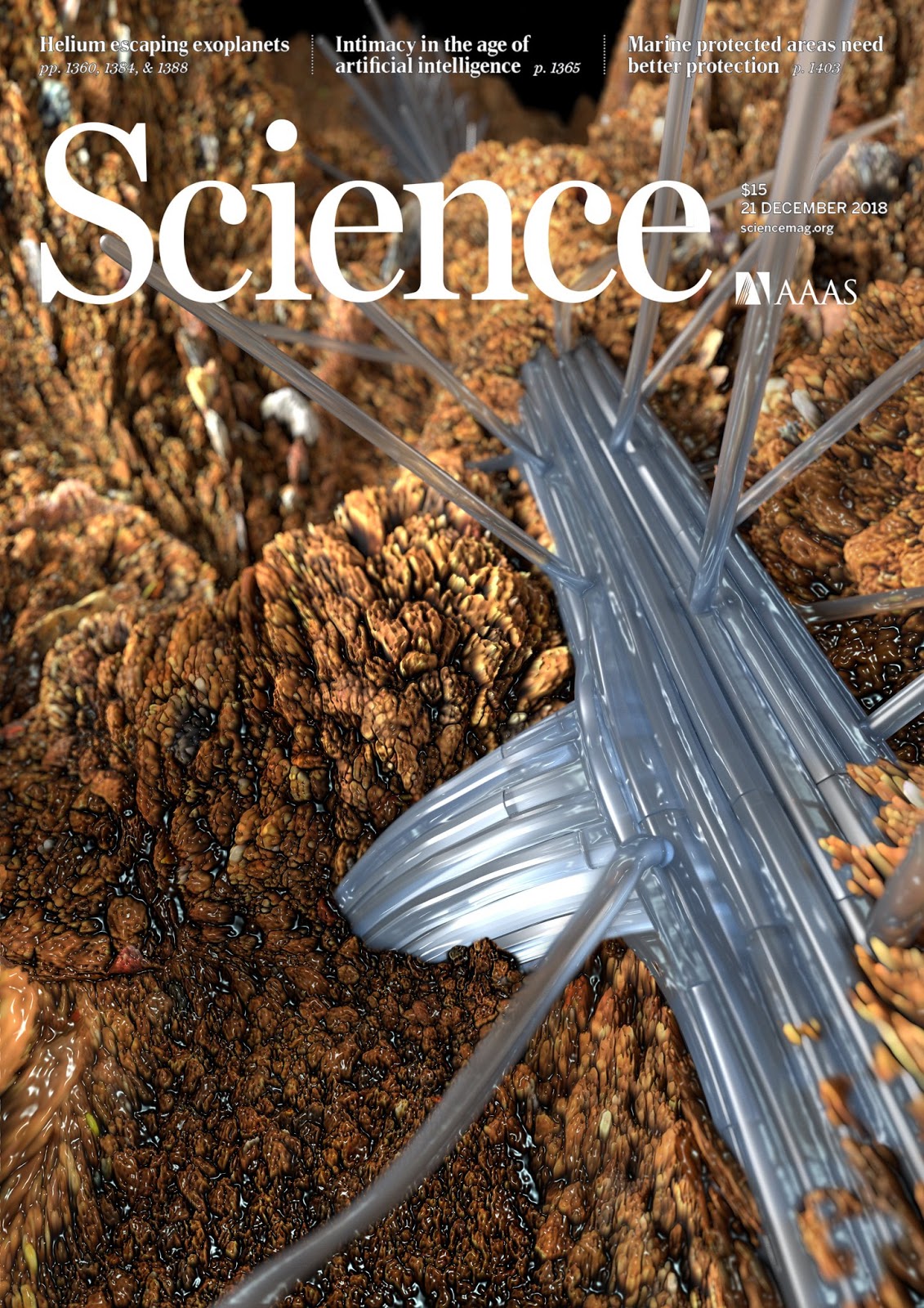 Plant Biology Highlights: Science Articles 2018