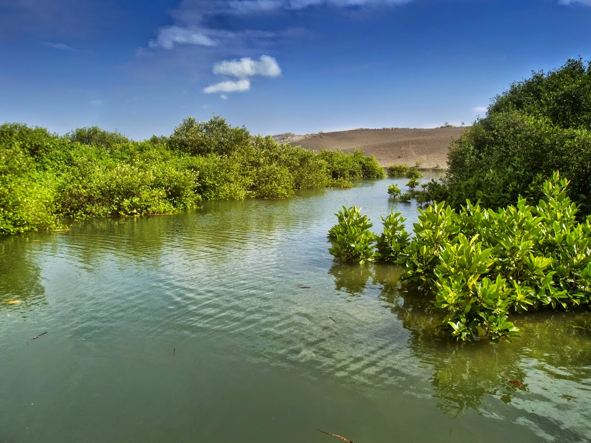 Potret Keindahan Pantai Selatan Kebumen