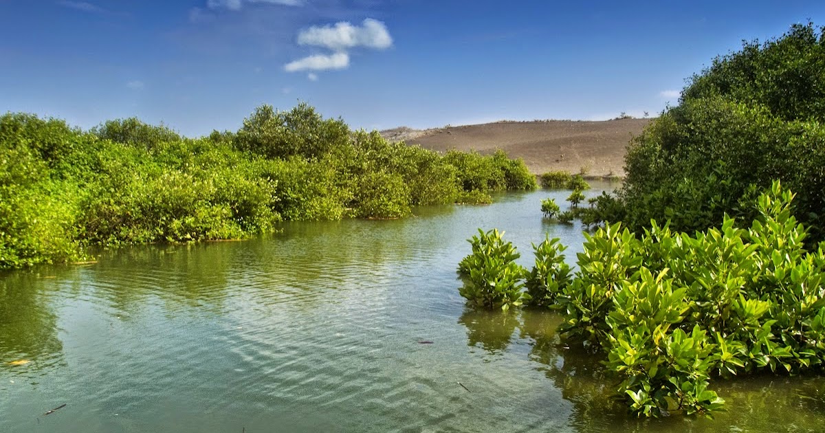 Novi Diah Wismaningrum
