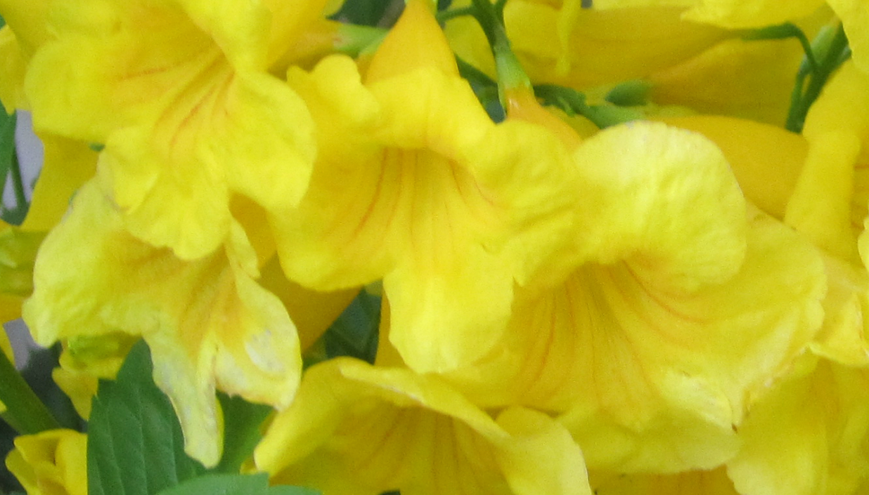 Can We Have a New Witch Ours Melted: Day 26 Post A Picture Of Something ...