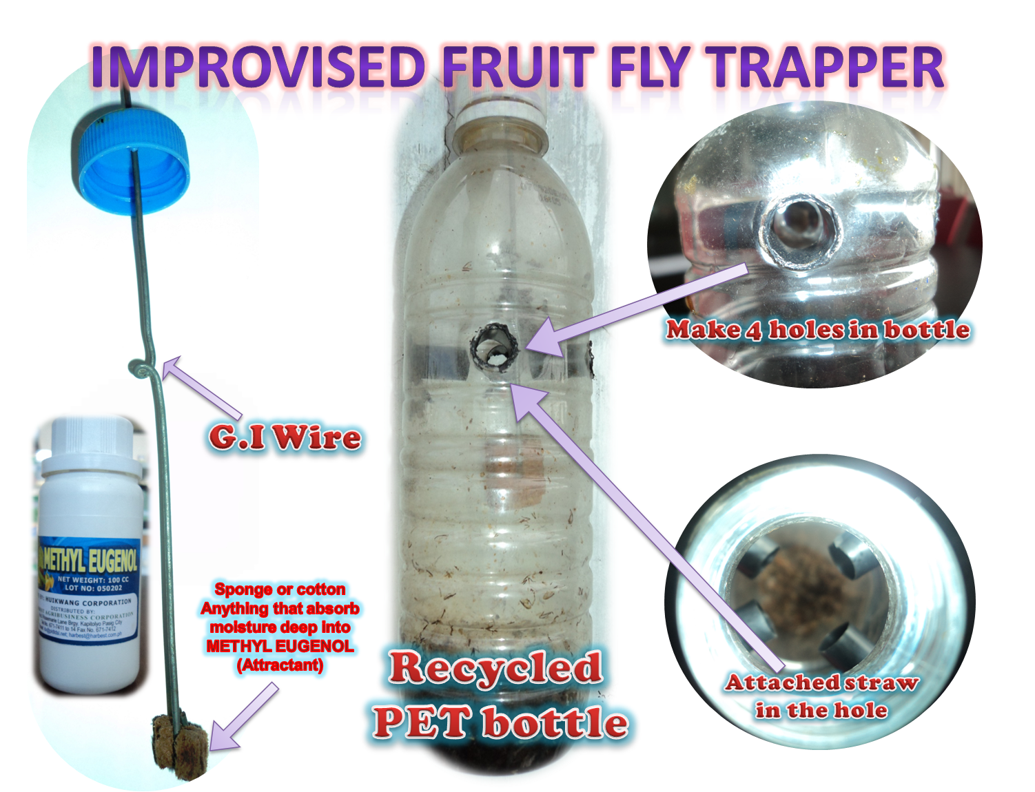 HARBEST: FRUIT FLY TRAPPER