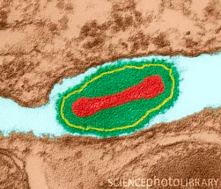 Rule of 6ix: August 2011