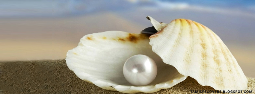 My India FB Covers: Pearl - Nature FB Cover