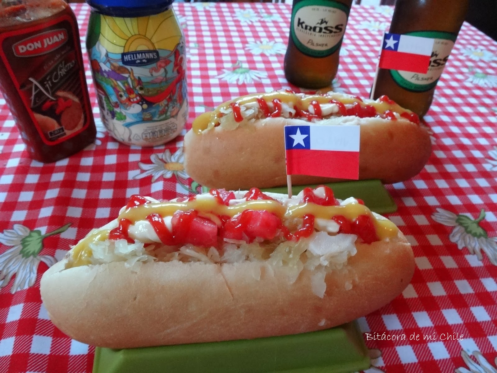 Bitacora de mi Chile: Completo