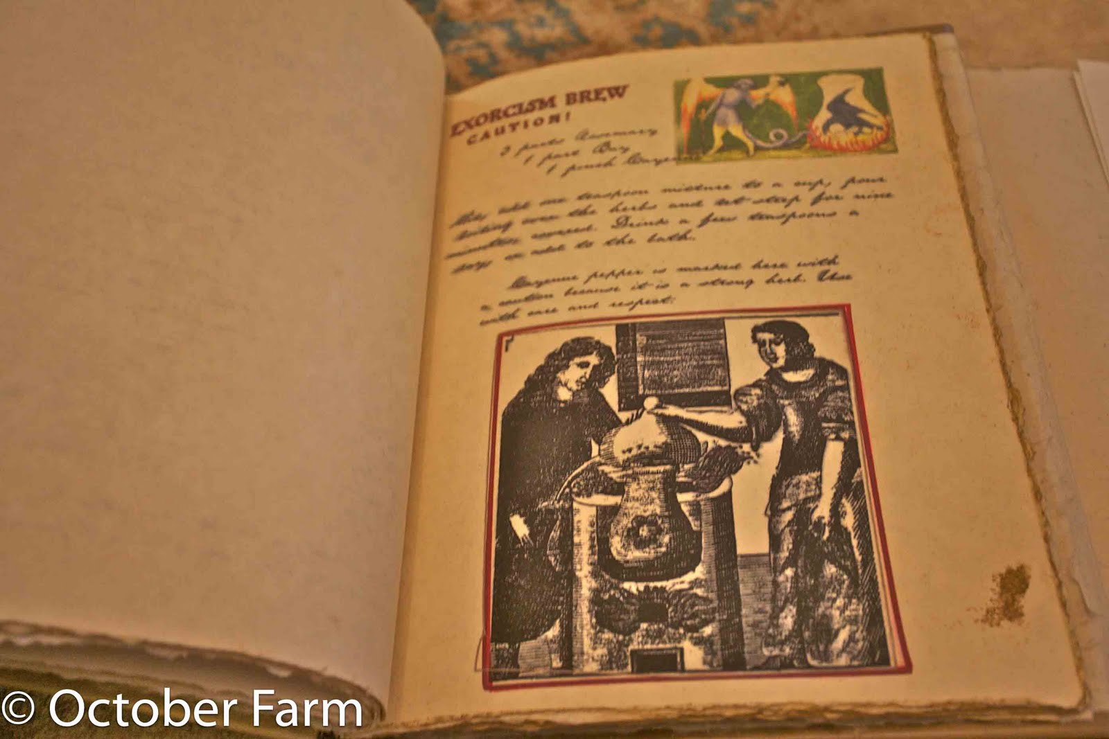 the Original Practical Magic Spell Book