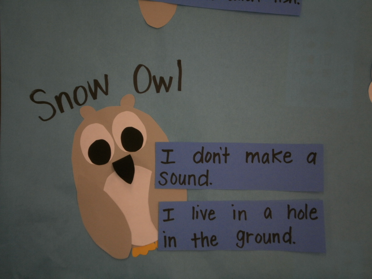 K-1 Teaching Besties: Polar Animals Anchor Chart