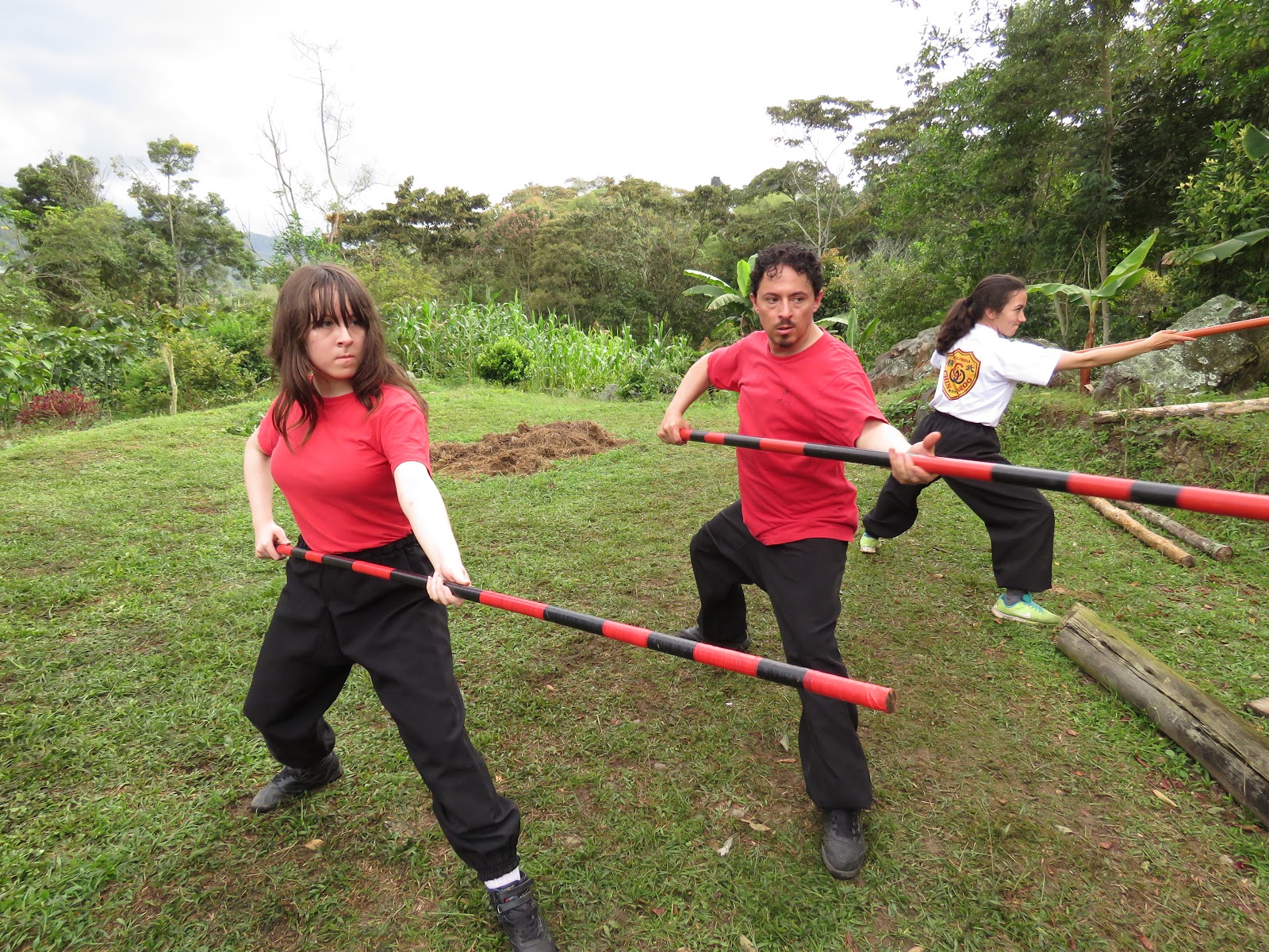 KUNG FU BOGOTÁ. : BASTÓN LARGO