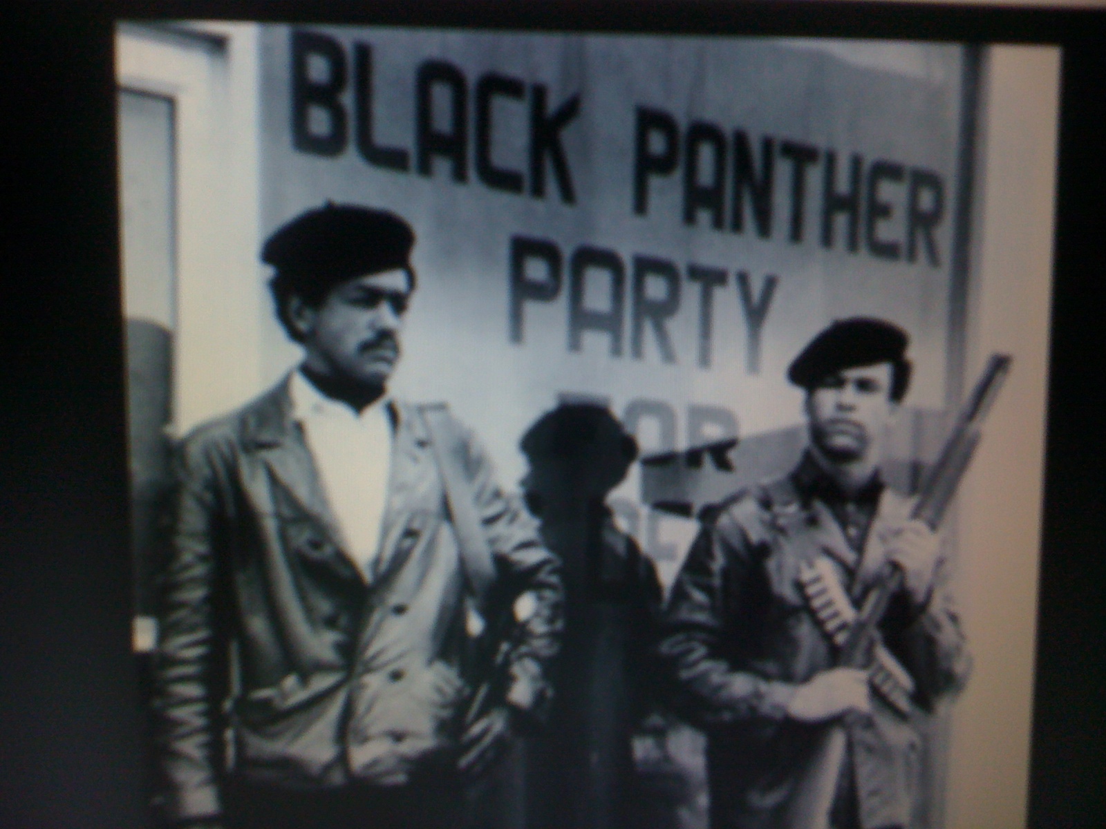 THE BLACK SOCIAL HISTORY:: BLACK SOCIAL HISTORY : THE BLACK PANTHER PARTY