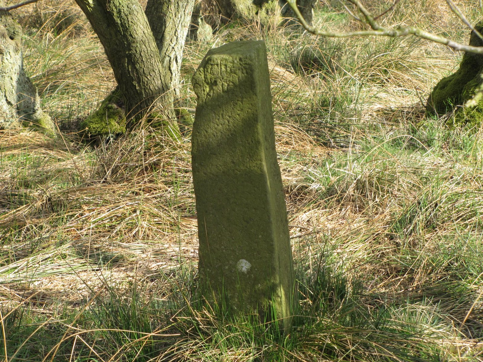 Trev's travails: Shillito Wood