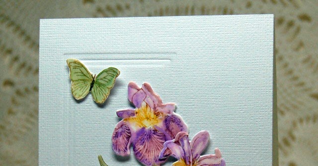 Stamping with Klass: An Iris Sketch