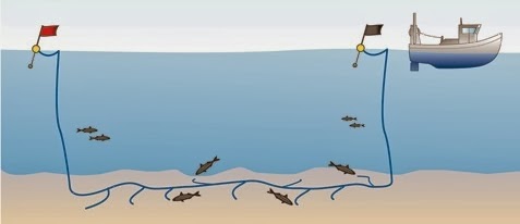 Fishing Longline Set