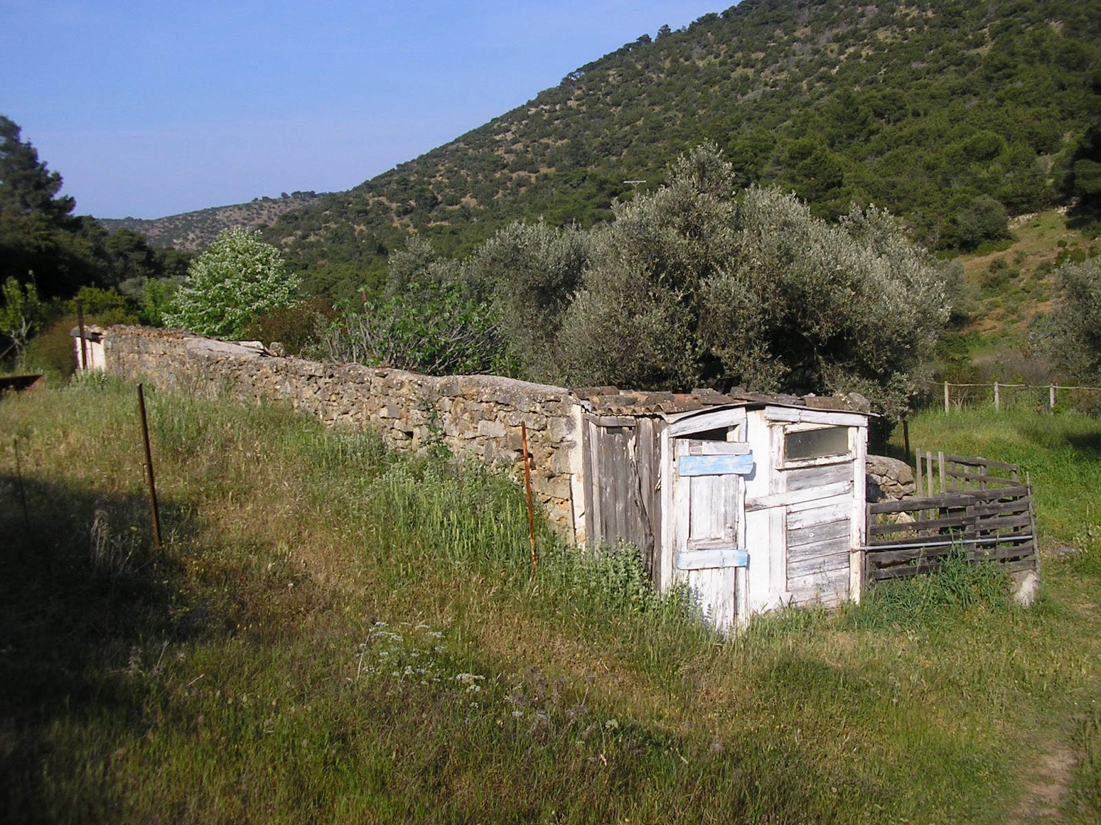 ΑΠΑΝΤΑ ΟΡΘΟΔΟΞΙΑΣ: ΕΙΣ ΜΝΗΜΗΝ ΤΟΥ ΜΟΝΑΧΟΥ ΓΕΡΩΝ ΣΑΒΒΑ ΤΟΥ ΕΡΗΜΙΤΗ ΣΤΟ ...
