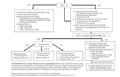 UK Trauma Protocol Manual: Catastrophic Brain Injury Guideline (CBIG)