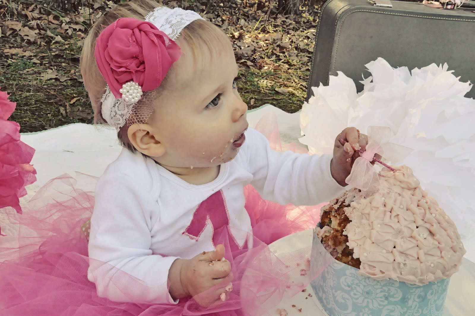 Brianna Coble Photography: My Baby Girl is Turning 1
