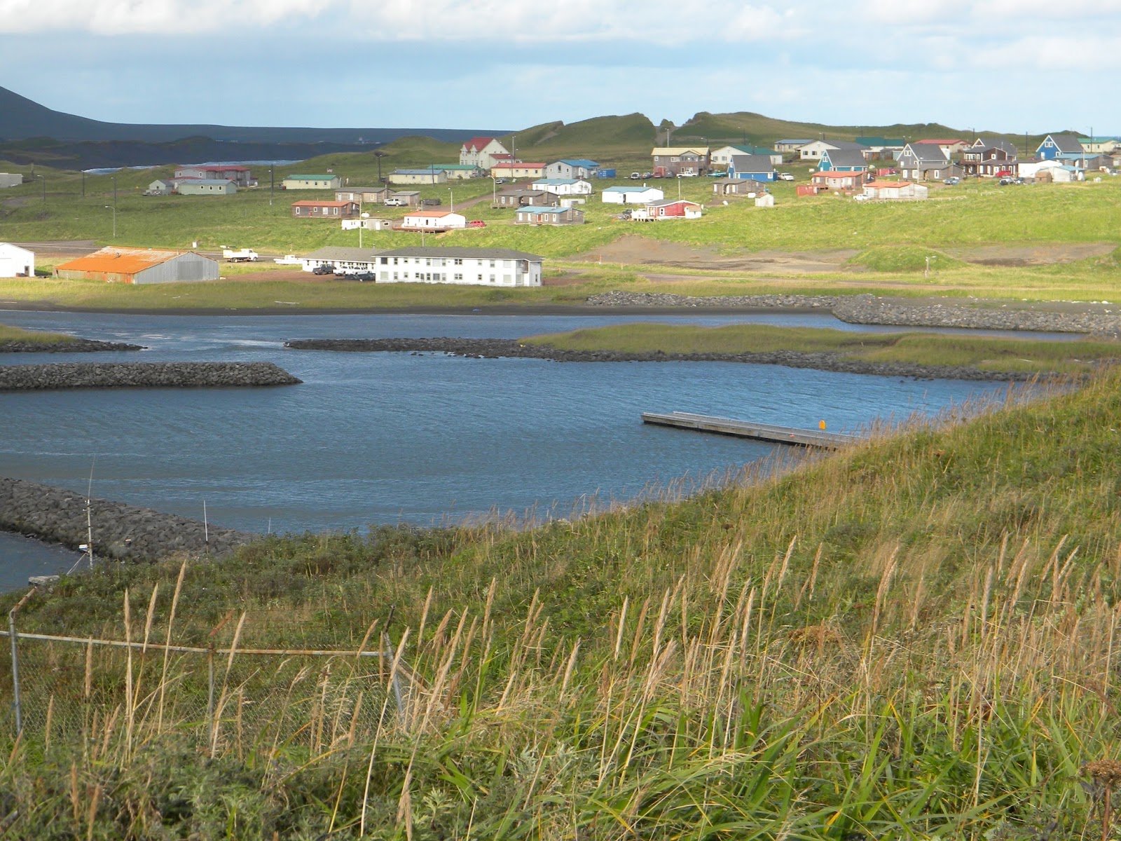 Slow Birding: Pribilof Islands--9/11-23/2015