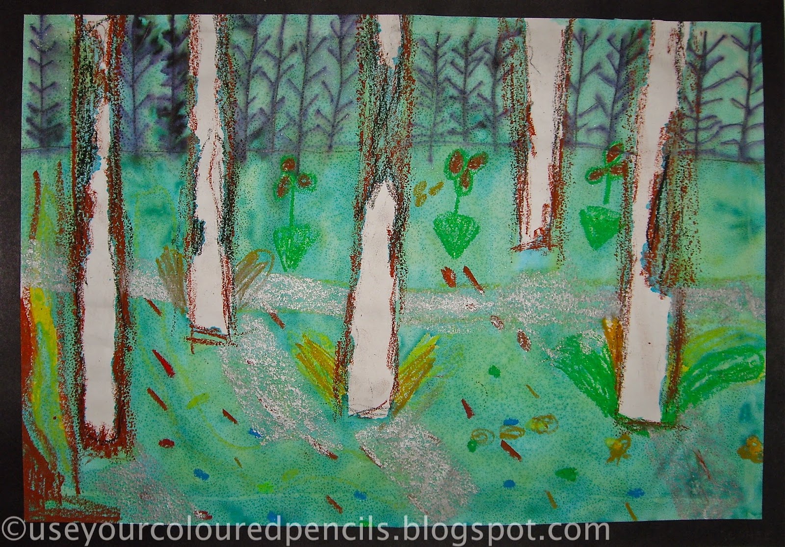 Use Your Coloured Pencils: Karri Forests