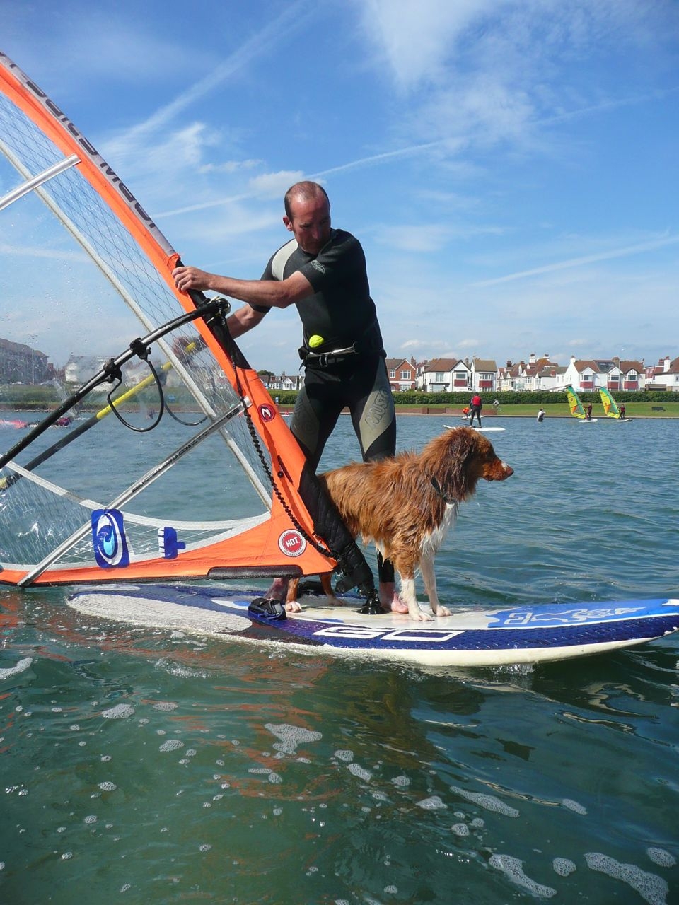 Awesome animals in extreme sports (30 pics, 2 videos) | Amazing Creatures