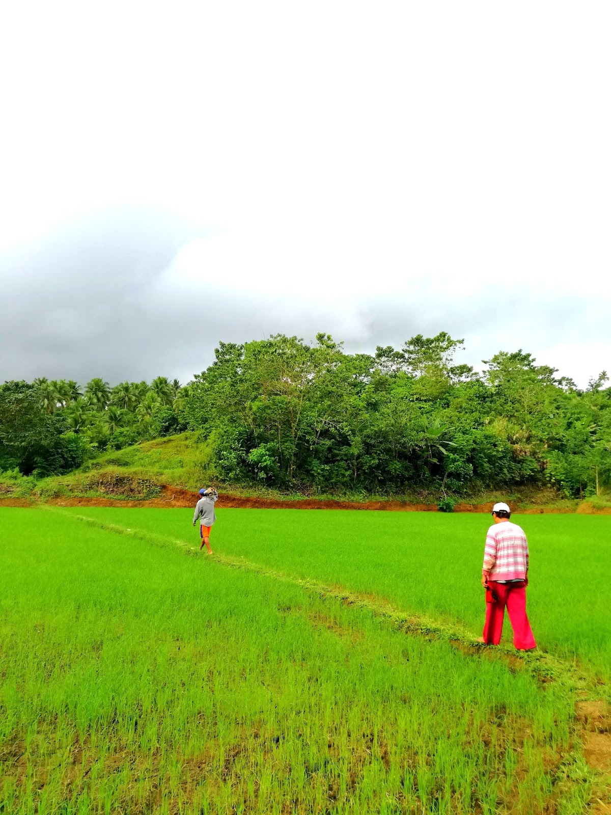 𝗗𝗲𝗹 𝗠𝗮𝗸𝗲 𝗶𝘁 𝗛𝗮𝗽𝗽𝗲𝗻 : Farm Life: Young Farmer's Dream