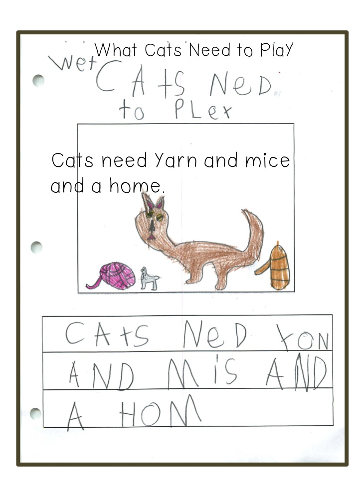 Joyful Learning In KC: Animal Research Writing