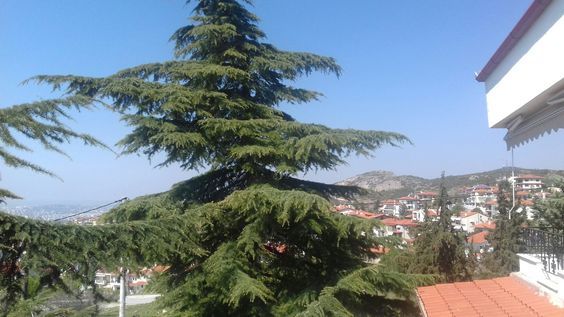 Έγινα 70..Ε! και...: Μία νέα όμορφη μέρα!