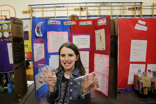 Sunnyland 4th Grade!: Science Fair!