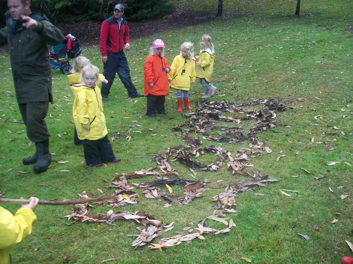 Fiordland Kindergarten Nature Discovery: Making Leaf Dolls