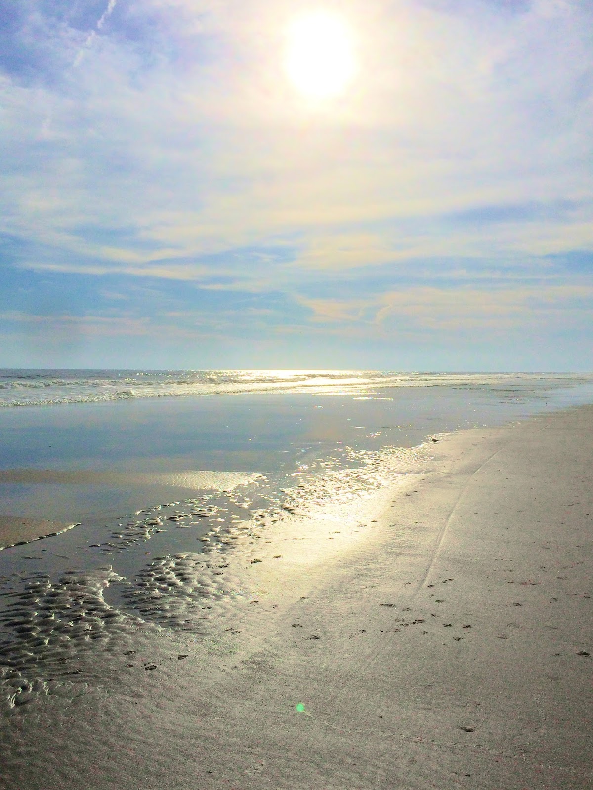 Gone To The Beach: Welcome Spring! And Pokeberry is Done!