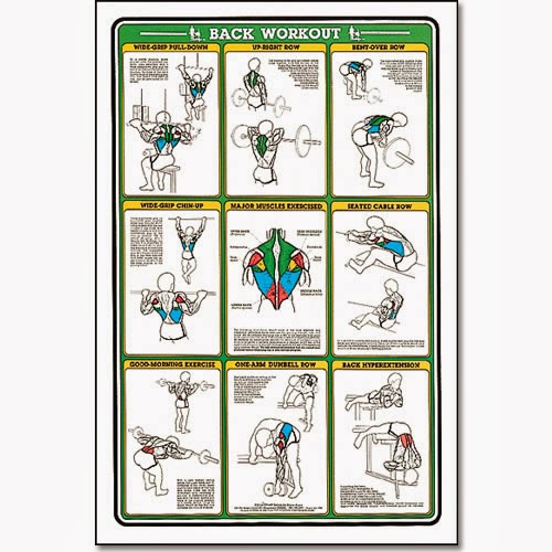 Huge Back Workout Chart | Bodybuilding and Fitness Zone