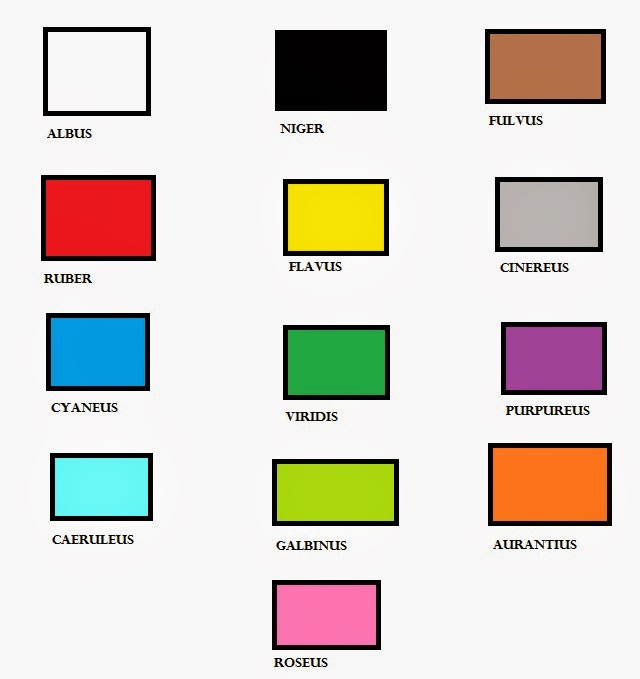 Laetitia Puerorum: Aprendendo as cores em latim