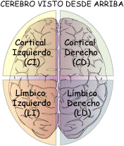 Desarrollo del Pensamiento y la Inteligencia Humana: Teoria de Ned Herrmann