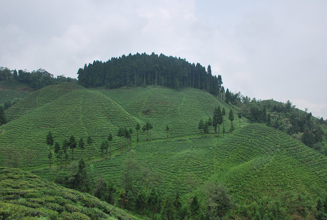 SHARE TWEET TELEGRAM WHATSAPP PIN IT SHARE