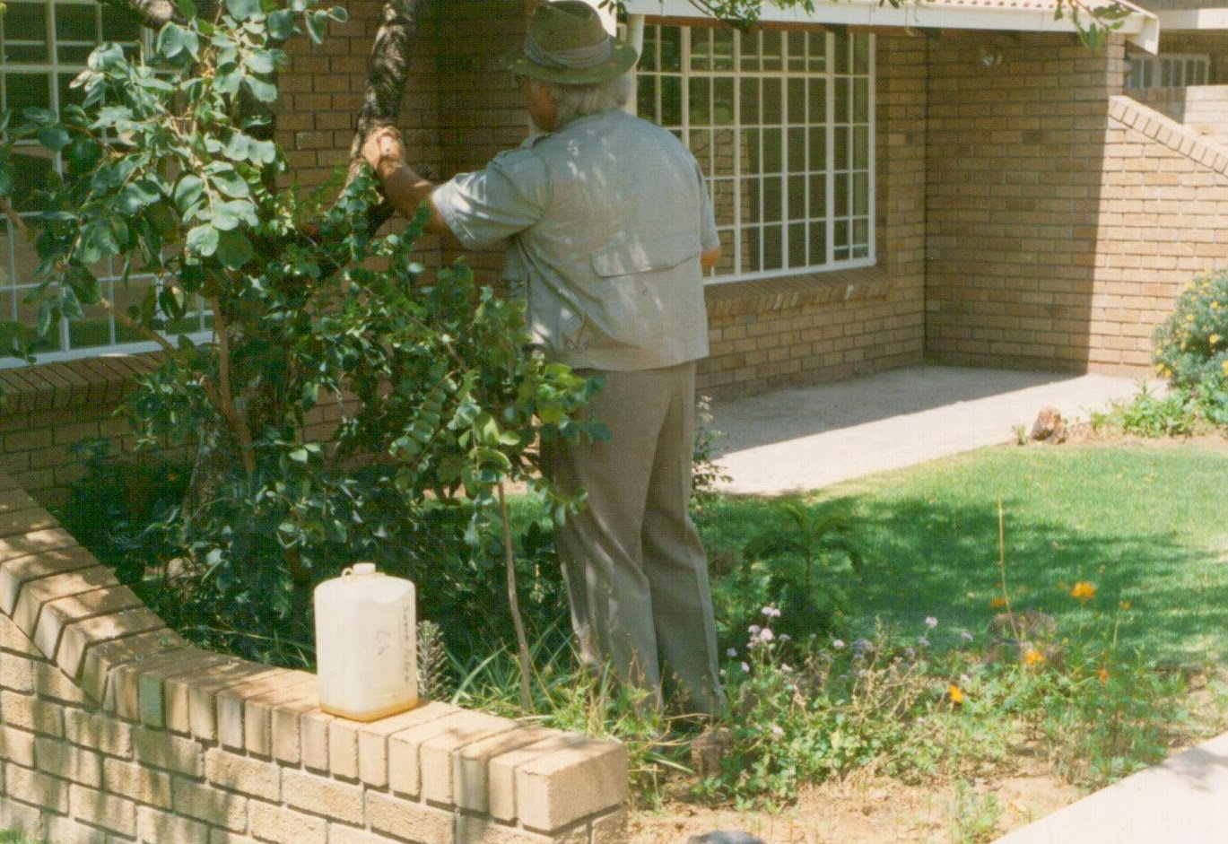 Die oord se inheemse bome |Renaissance in the Bushveld