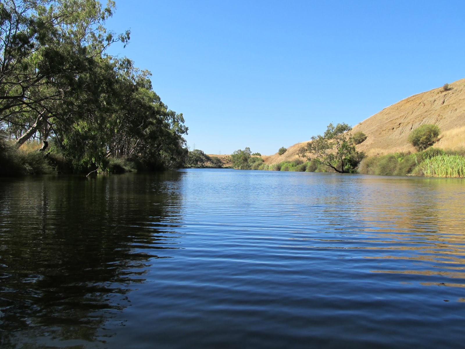 Barwon Blog: All the rivers run...eventually....