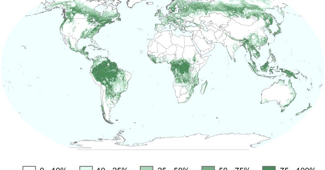 World Forest Cover Density