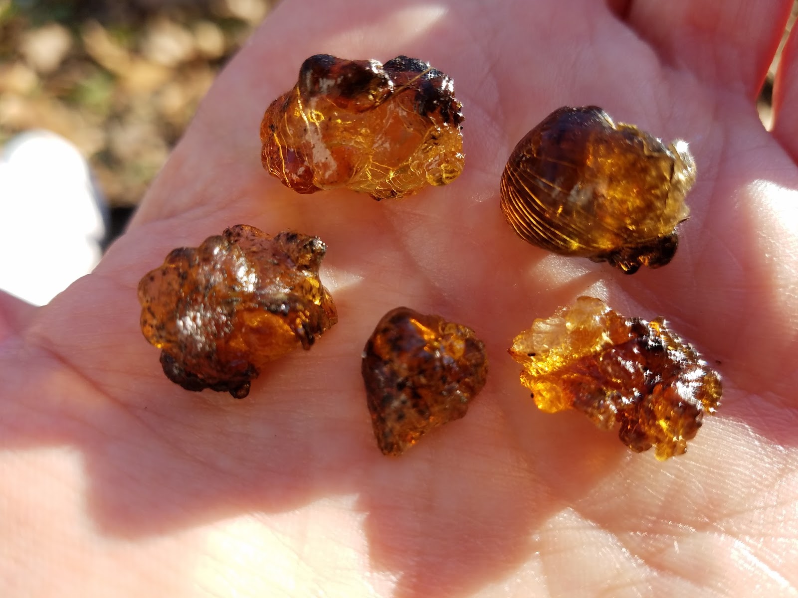 Divinebunbun's Rugged Rural Missouri: December 2017