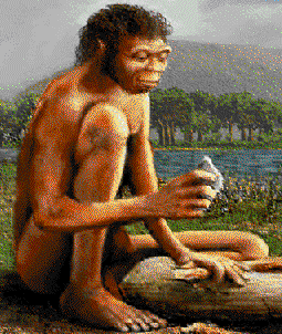 Medio Ambiente. Que problema!: Hombre de Java