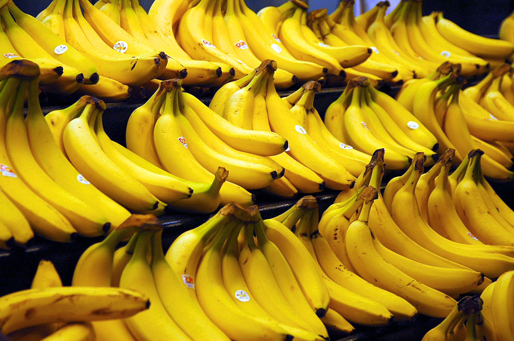 Applied Mythology: Yes, We May Have No Bananas, But Monoculture Wasn't ...