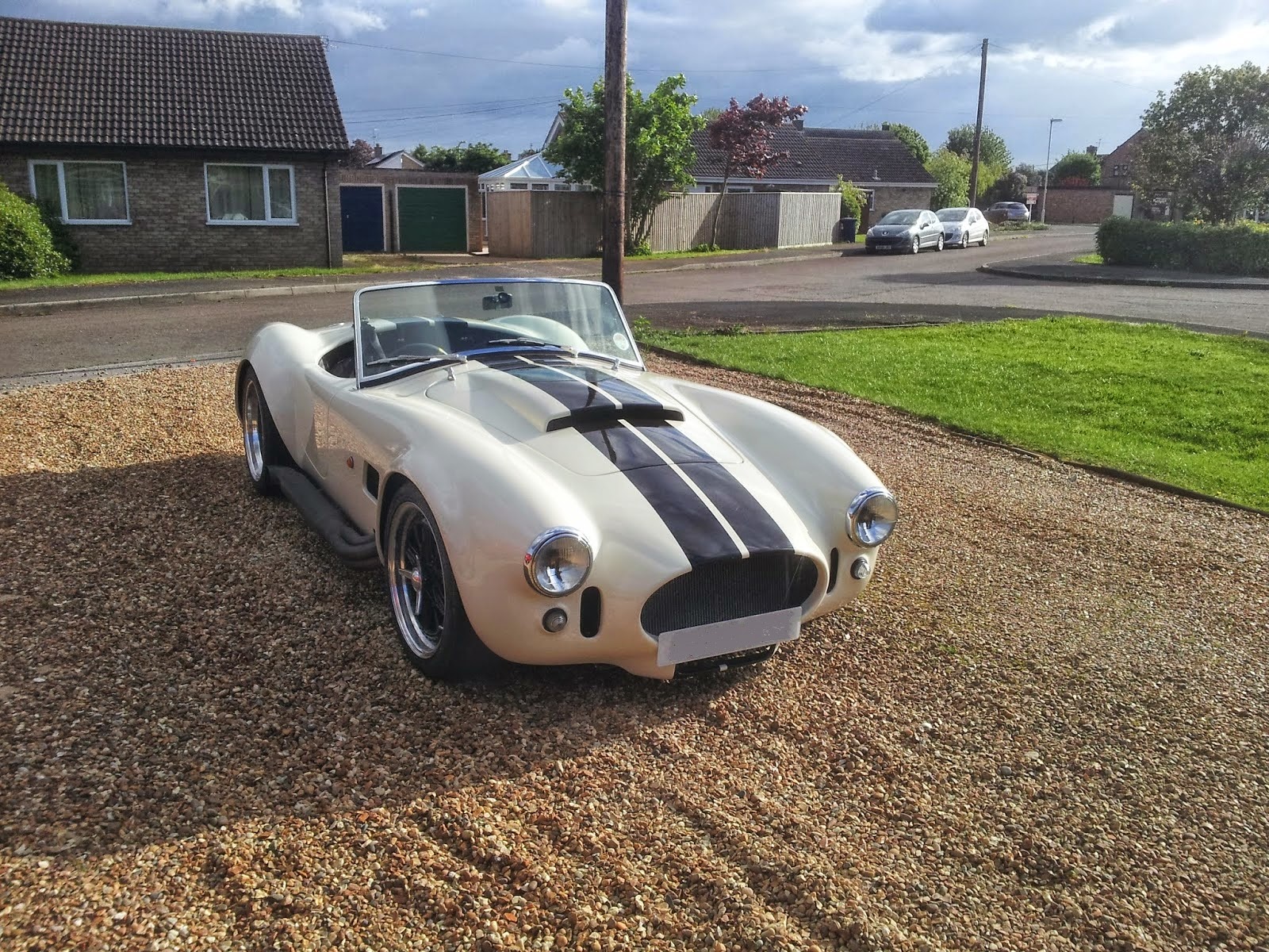 Dax Cobra Build: Finished Painting!