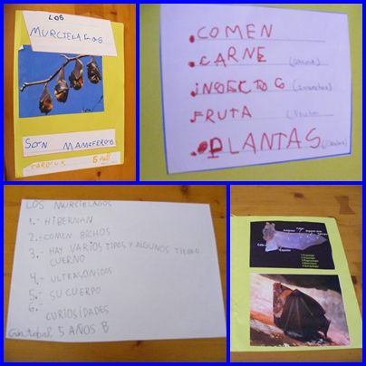 AULA DE INFANTIL: LOS MURCIÉLAGOS, SEGUIMOS INVESTIGANDO: II PARTE